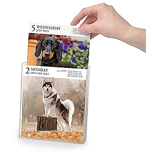 Dog Page-A-Day Gallery Calendar 2023: An Elegant Canine Celebration