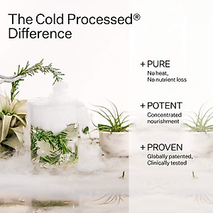 ACT+ ACRE Cold Processed 1% Vitamin B-5 Fine Hair Conditioner - Sulfate Free Conditioner Hair Treatment with Amaranth and Moringa Oil for Moisture, Elasticity and Shine (10 Fluid Ounces)