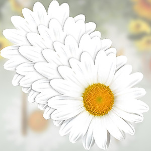 Kosiz 100 Pieces Daisy Floral Napkin Daisy Flower Shaped Luncheon Napkins Disposable daisy Napkins for Garden Bridal Shower Party Supplies Birthday Cocktail Dinner Wedding Decoration Tableware