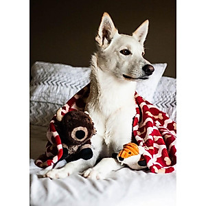 Tall Tails Plush Buffalo