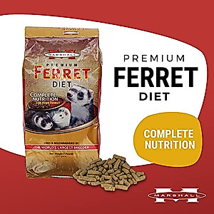 Marshall Pet Products Natural Complete Nutrition Premium Ferret Diet Food with Real Chicken Protein, Highly Digestible, 7 lbs