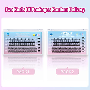 BlueSmurfs Individual Fairy Eyelashes Extensions Fluffy DIY Cute Eye Cluster Eyelashes Natural Faux Mink False Eye Lashes Multipack of 170 Mini Individuals Fairy Lash Clusters (Include Bottom Lashes)