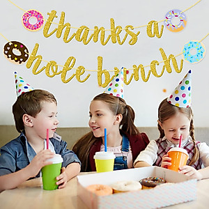 Thanks a Hole Bunch Banner, Pre-strung Donut Thanks Banner, Donut Baby Shower, Donut Bar, Donut Birthday Party Banner, Donut Theme Party Decorations