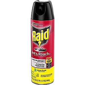 Raid Ant & Roach Killer Lemon Scent, 17.5 OZ (12)
