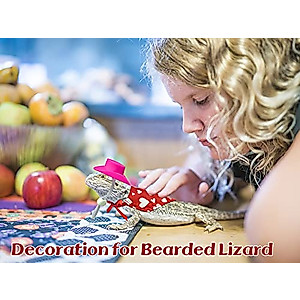 Vehomy 4Pcs Valentine's Day Bearded Dragon Outfit Bearded Dragon Cowboy Hat & Lizard Bandana Small Pet Love Heart Scarf Cowboy Costume Accessories for Lizard Hamster Leopard Gecko