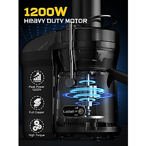 Juicer Machine, 1200W Juicer with 3" Feed Chute for Whole Fruits and Veg, Dual Speeds Centrifugal Juice Extractor, High Juice Yield, Full Copper Motor, Easy to Clean, BPA Free (Black)