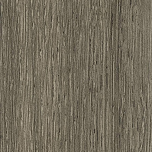 Trends International Disney Haunted Mansion - Map Wall Poster, 14.72" x 22.37", Barnwood Framed Version