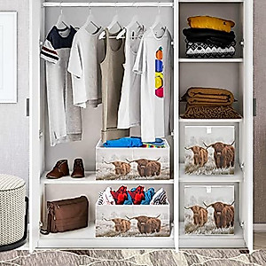 Highland Cow Storage Baskets for Shelves Foldable Collapsible Storage Box Bins with Closet Organizers Cubes Decorative for Pantry Toys, Clothes, Books in Closet and Shelf,11 x 11inch