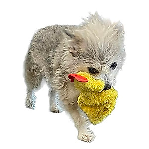 Chicken and Egg Crinkle Squeaker Pack Fun Durable Interactive Fetch Toys for Puppies Dogs Small Amimals