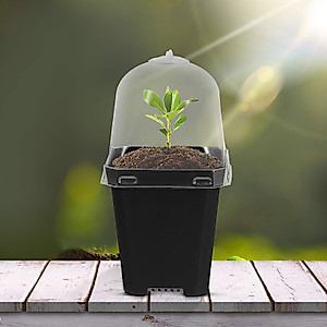 GANAZONO Plant Propagation Plant Propagation 12 Sets of Plastic Nursery Pots with Humidity Dome Flower Plant Container Starting Pot Cup for Flower Clear Pot Outdoor