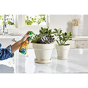 Scotts Succulent Plant Food, 8 oz., For Succulents including Cacti, Jade, And Aloe, 6 Pack