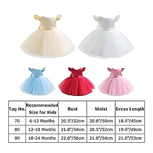Baby Flower Girl Dress: Toddler Dress for Wedding First Communion Baptism Christening Dresses First Birthday Outfit Newborn Photoshoot Cake Smash Infant Kids Princess Tulle Gown Blue 18-24 Months