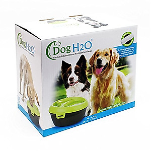 AA Aquarium Dog Water Bowl, Sharp Lime Green/Translucent Black, 1 Count (Pack of 1), (DH020)