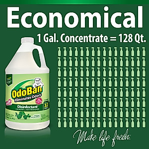 OdoBan Disinfectant Concentrate and Odor Eliminator, 2 Gallons, Original Eucalyptus Scent