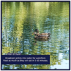 Natural Waterscapes Waterfowl Feed 20 lb Bag | Floating Pellets for Duck, Swan, Goose | for Wild and Pet Ducks