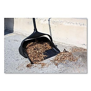 Rubbermaid 253100BK Lobby Pro Upright Dustpan w/Wheels 12 1/2 -Inch Polypropylene w/Vinyl Coat Black