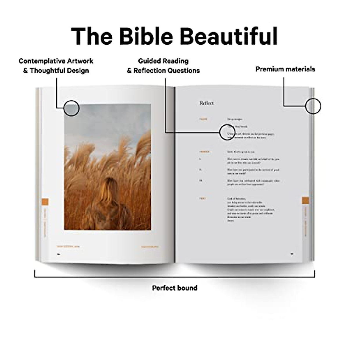 The Good and Beautiful Bible Study: Experiencing Stories From the Bible and What It Means for Our Lives Today