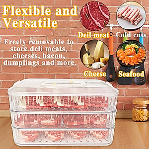 Haawooky 3 Layer Deli Meat Container with Lid,Lunch Meat Container for Refrigerator Organizing,Food Storage Container for Vegetables,Fruit,Bacon,Meat,Cheese
