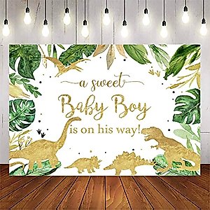 Avezano Dinosaur Baby Shower Backdrops for Boy Jungle Safari Dino Theme Roar It's a Boy Party Decorations Banner Dinosaur Hatching Soon Baby Boy Shower Background Supplies (7x5ft)