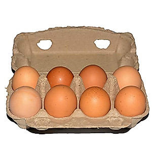 DOITOOL 20PCS Egg Cartons for Chicken Eggs 6 Counts Egg Crates for Farmers Market, Half Dozen Egg Cartons Natural Pulp Egg Cartons 6 for Chicken Eggs Storage