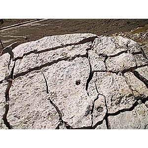 Dexpan Expansive Demolition Grout 44 Lb. Box for Rock Breaking, Concrete Cutting, Excavating. Alternative to Demolition Jack Hammer Breaker, Jackhammer, Concrete Saw, Rock Drill (DEXPAN44BOX3) (23F-50F)