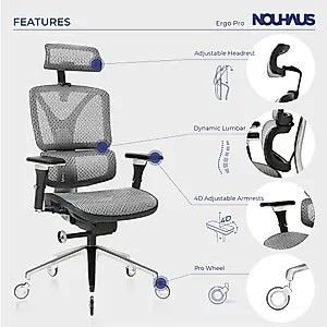 Nouhaus Ergonomic Office Chair Lumbar Support Aluminum Alloy Backrest, Big and Tall Mesh Computer Desk Chair with Adjustable Headrest, 4D Armrest and Premium Wheels(ErgoPRO,Silver)