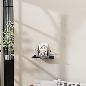 Danpoo Small Floating Shelf for Wall Storage, Mini Display Shelf for Collectibles, Metal Wall Shelf for Bathroom/Living Room/Kitchen/Bedroom(Black, 8")