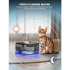 Cat Water Fountain: 75oz/2.2L Automatic Pet Water Dispenser for Cats, 304 Stainless Steel Faucet & Lid Cat Water Bowl Dispenser, Super Silent Pet Water Fountain for Cats Inside, Pump with LED Light