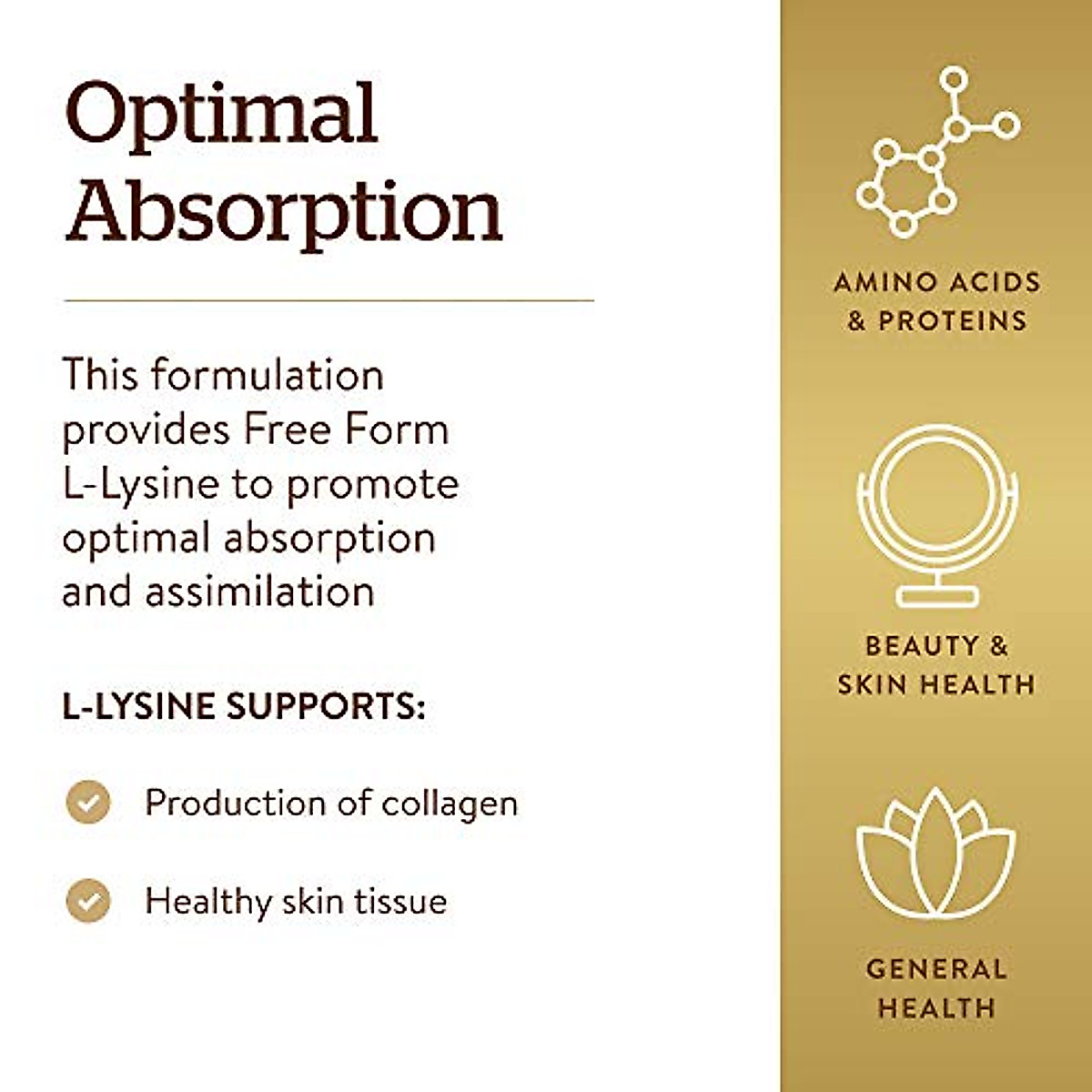 Solgar L-Lysine 1000 mg, 250 Tablets - Enhanced Absorption and Assimilation - Promotes Integrity of Skin and Lips - Collagen Support - Amino Acids - Non-GMO, Vegan, Gluten Free - 250 Servings