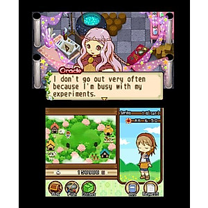 Harvest Moon: Tale of Two Towns - Nintendo 3DS (Renewed)