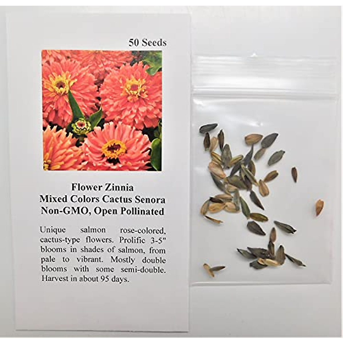 David's Garden Seeds Flower Zinnia Mixed Colors Cactus Senora FBA-7868 (Salmon) 50 Non-GMO, Heirloom Seeds