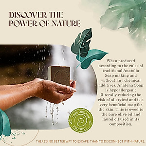 Aleppo Soap - 2 Pack - 8 oz each - Laurel Oil, Virgin Olive Oil, Natural & Handmade from Origin