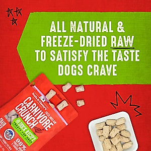 Stella & Chewy's Freeze-Dried Raw Carnivore Crunch Cage-Free Duck Recipe Dog Treats – 3.25 oz. Bag