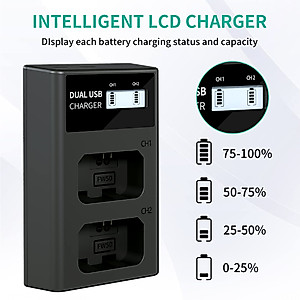 NP-FW50 Battery Charger, LCD Dual Charger Compatible with Sony Alpha A6000, A6400, A6100, A6300, A6500, A5100, A7, A7 II, A7R, A7R II, A7R2, A7S, A7S II, A7S2, A5000, A3000, RX10, NEX-3/5/7 Series