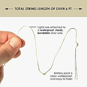 RTGS Products Green Colored LED Lights Indoor Outdoor String Lights, Fairy Lights Battery Powered Patio, Bedroom, Holiday Decor, etc.