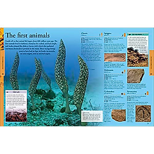 Dinosaurs: A Visual Encyclopedia, 2nd Edition (DK Children's Visual Encyclopedias)