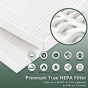 5500-2 Air Purifier Filter Replacement For Winix, 116130 Replacement Filter H Compatible with Winix 5500-2 and AM80 Air Purifier, 4 Pack HEPA Filter Only