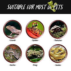 FIVEAGE 75W Red Heating Light Infrared Bulb UVA Spot Heat Lamp for Reptile and Amphibian Use - Lizard Tortoise Spider Snake Chameleon 2 Pack