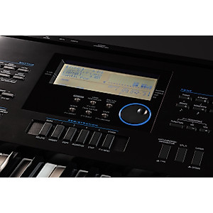 Casio WK-6600 76-Key Workstation Keyboard Bundle with Adjustable Stand, Bench, Sustain Pedal, Power Supply, Instructional DVD, and Austin Bazaar Polishing Cloth