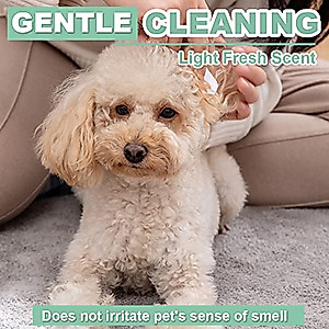 Air Jungles Pet Grooming Wipes for Dogs and Cats 100 Count, 8" x 10" Extra Large Plant-Based Earth-Friendly Hypoallergenic Deodorizing Pet Wipes for Paws Body Face Ear Butt