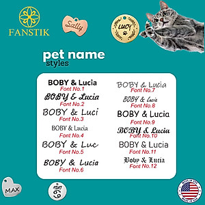 Personalized QR Code Pet Id Tag (Made in USA) - Personalize on Both Tag & Web Free Online APP Scan QR Receive Instant Location Alert Email - Customized Dog Cat Tags, Stainless Steel FANSTIK (QR-Icon)