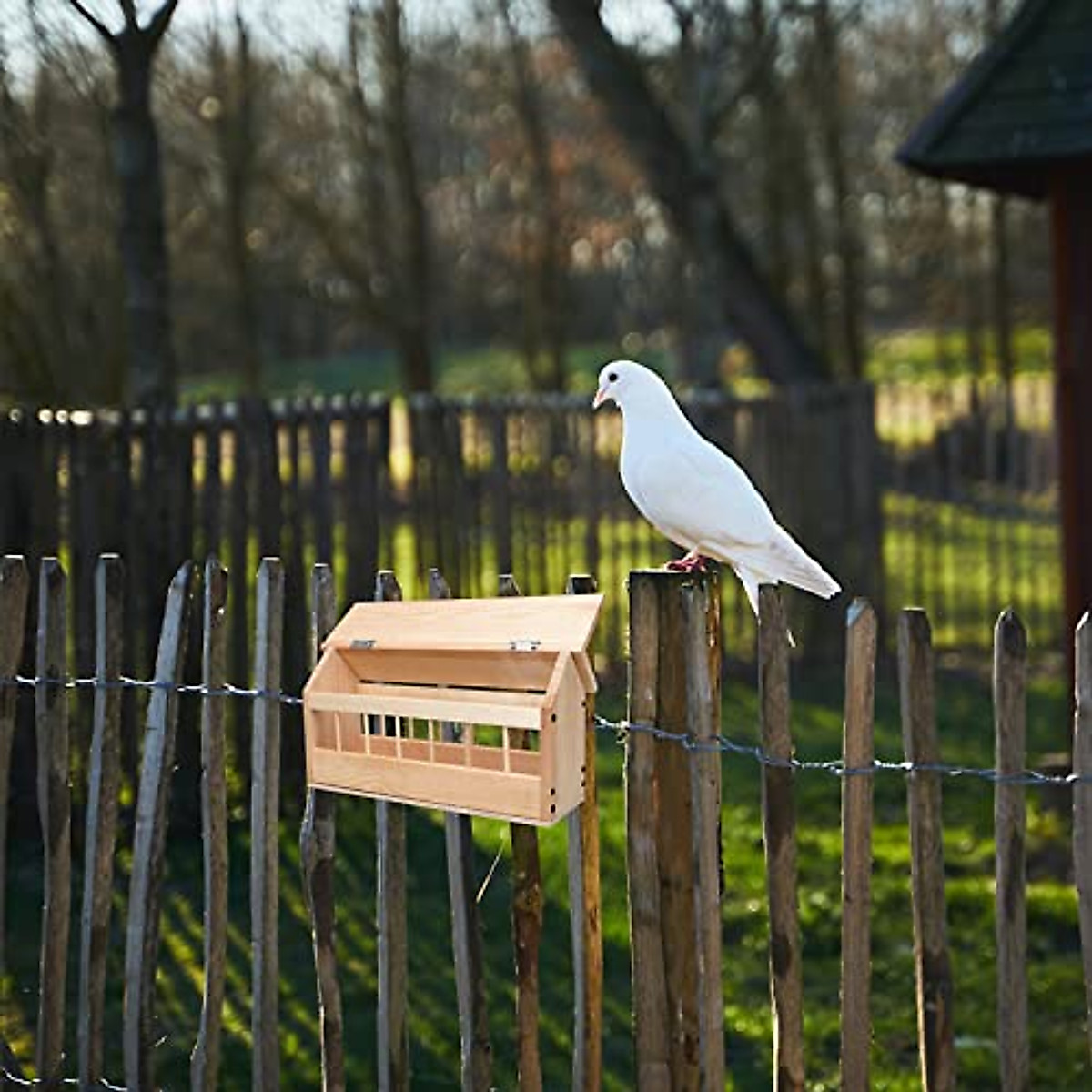 HANABASS Window Bird Feeder Window Bird Feeder Window Bird Feeder Pigeon Feeding Trough Wooden Pigeon Feeder Multi- Hole Pigeon Dish Dispenser Birds Feeding Dispenser Chicken Feeder Quail Cage