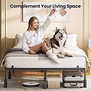 Marsail Queen Size Bed Frame, 14-Inch High Platform Bed with Steel Slat Support, Mattress Stoppers & Rounded Corners, Heavy-Duty Metal Platform, 1600 lbs Max Weight, No Box Spring Needed, MSBFQ02