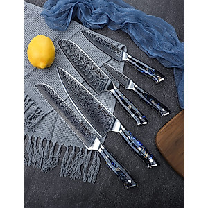 SANMUZUO Chef Cooking Knives Set- Kitchen Knife Set of 5 Piece - Ultra-Sharp VG10 Damascus Steel & Resin Handle - Xuan Series (Starry Black)