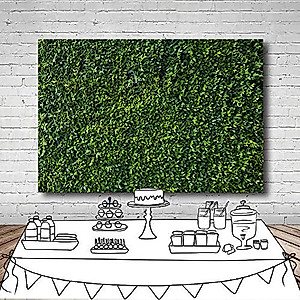 OUYIDA Green Leaves Photography Backdrops Grass Backdrop Wall Greenery Safari Party Decoration Photoshoot Newborn Baby Shower Backdrop Wedding Birthday Photo Background Studio Props Booth 7x5FT PCK41