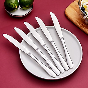 Aebeky 16-Piece Stainless Steel Table Knives,Dinner Knives Set,9.1-Inch (16-Piece)