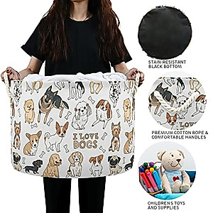 ALAZA Doodle Dog Pug Corgi Golden Retriever Husky Labrador Dachshund Storage Basket Gift Baskets Large Collapsible Laundry Hamper with Handle, 20x20x14 in