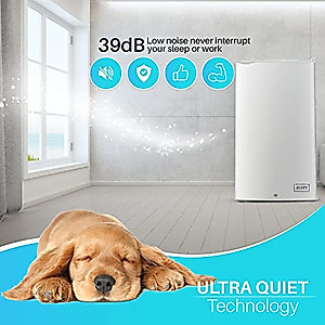 ZLOFT Mini Fridge with Freezer 3.2cu | Portable Mini Fridge for Bedroom, Dorm Refrigerator/Dorm Fridge, Small Refrigerator with Freezer, Mini Refrigerator, Small Fridge RV Refrigerators, White