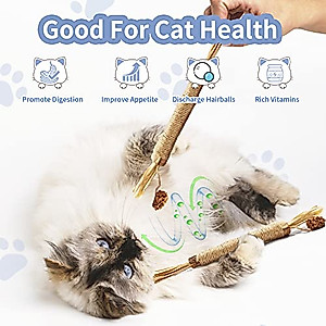 Catnip Toys with Silvervine for Cats - 3 Pack Cat Chew Toys for Aggressive Chewers, Edible Interactive Cat Toys for Indoor Cats Kitten Teething with Natural Silvervine Sticks for Teeth Cleaning