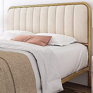 HITHOS Full Size Bed Frame, Upholstered Bed Frame with Button Tufted Headboard, Heavy Duty Metal Mattress Foundation with Wooden Slats, Easy Assembly, No Box Spring Needed (Golden/Off White, Full)